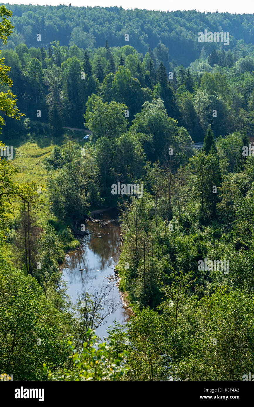 wavy river in forest in green summer. Amata river in Latvia, view from ...