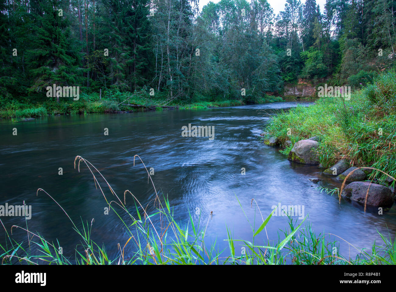 blue sky white clouds over calm body of water in summer with green ...