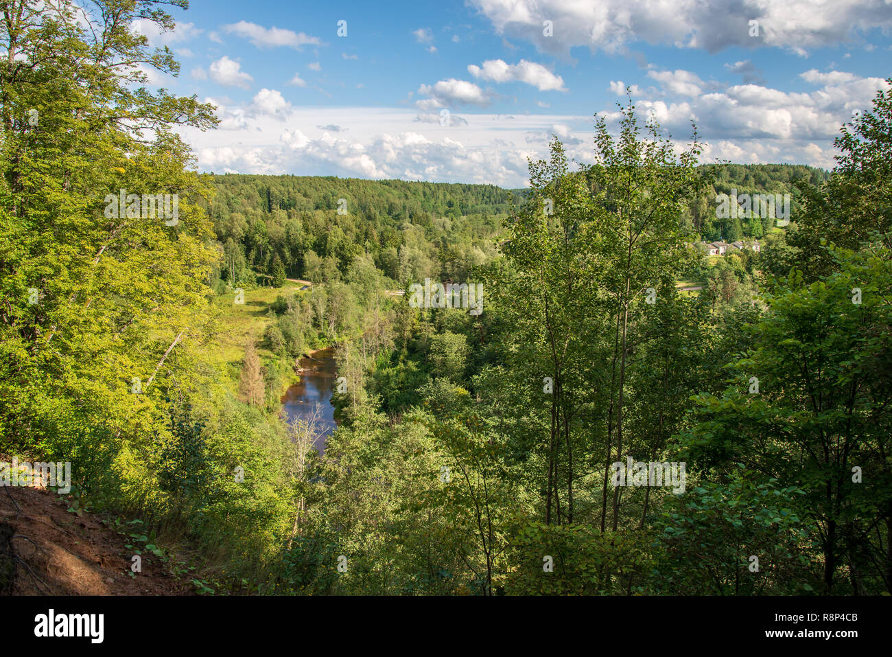 wavy river in forest in green summer. Amata river in Latvia, view from ...