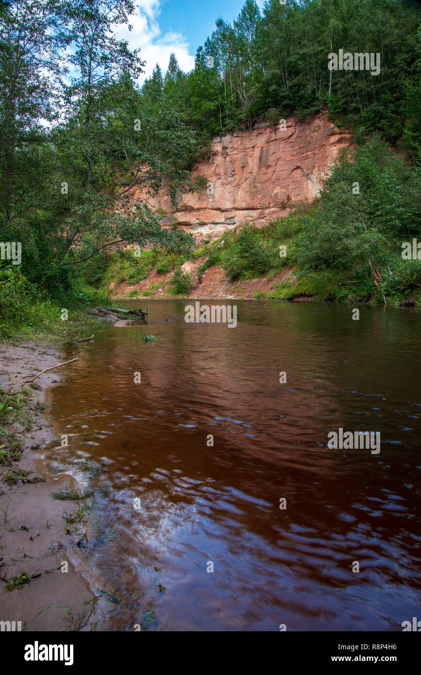 wavy river in forest in green summer. Amata river in Latvia, view from ...