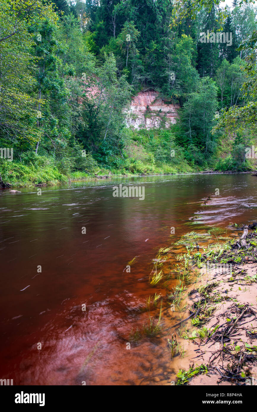 wavy river in forest in green summer. Amata river in Latvia, view from ...
