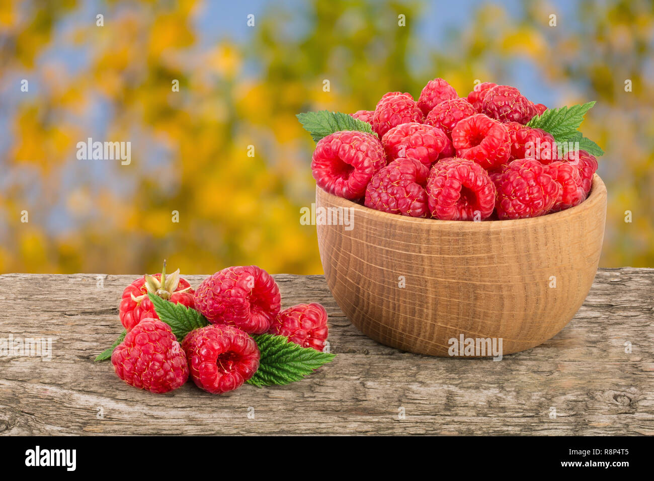 Raspberry in a wooden bowl on table with a blurry garden background ...