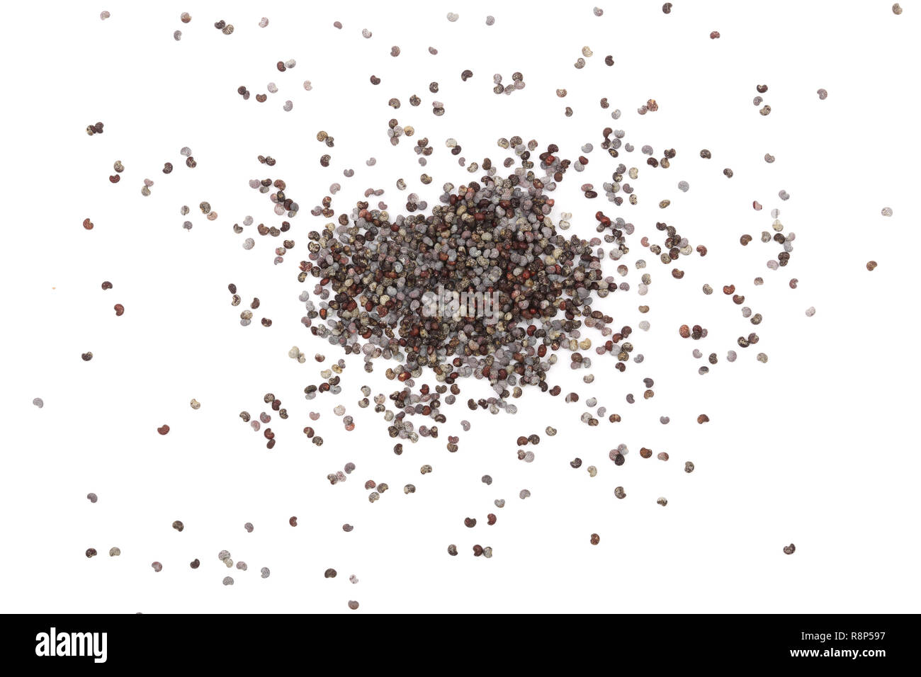 Oilseed poppy hi-res stock photography and images - Alamy