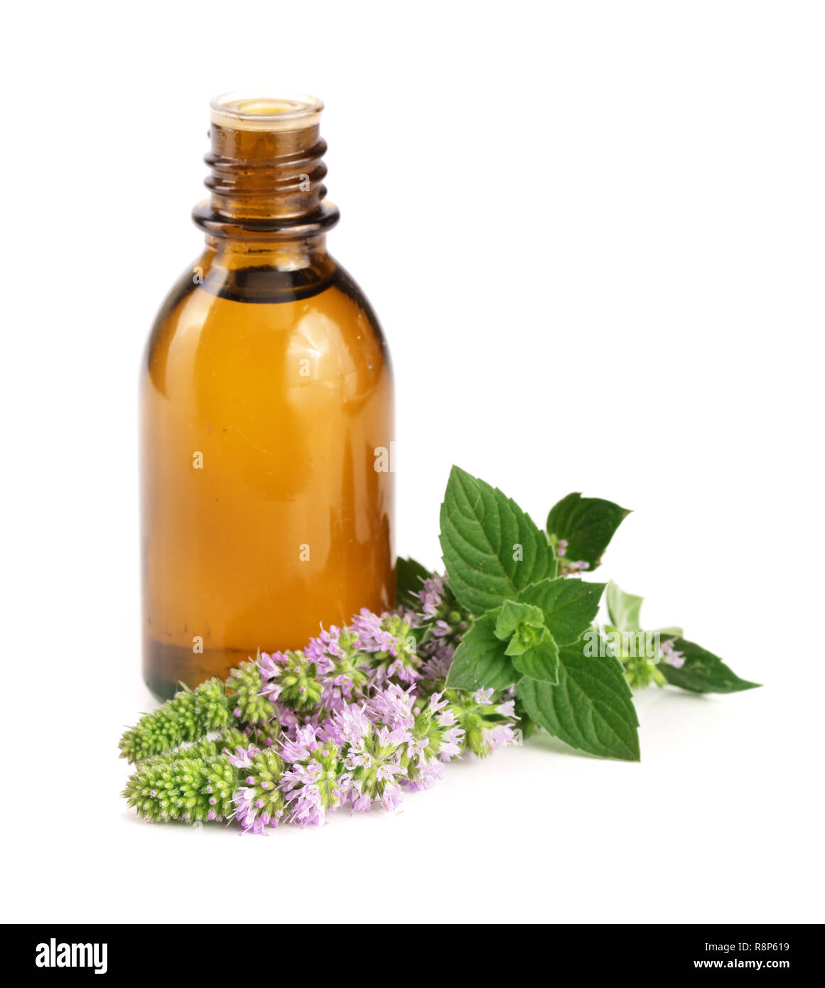 bottle of peppermint oil and fresh mint isolated on white background ...