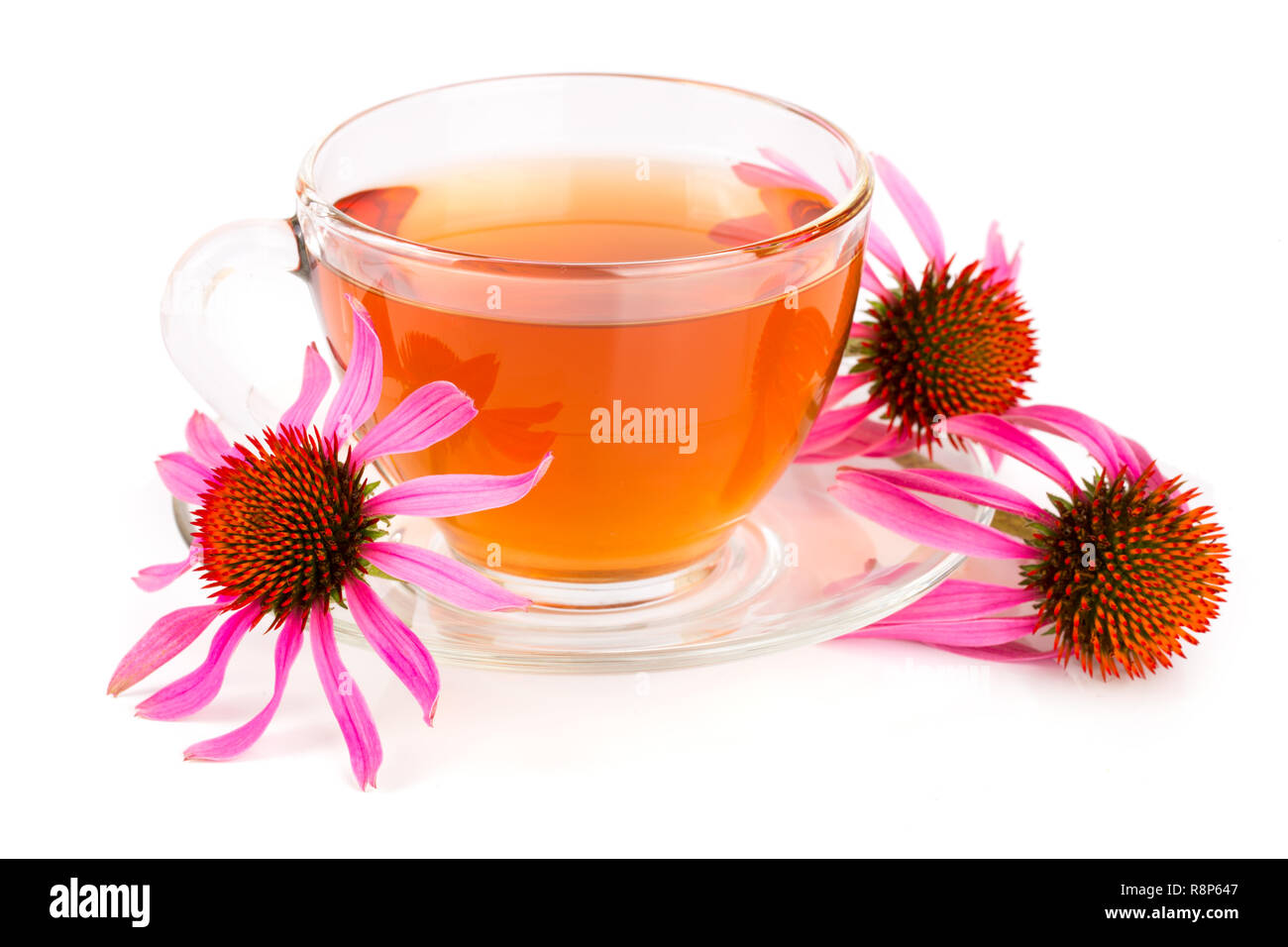 Echinacea tea isolated on white background. Medicinal tea Stock Photo ...