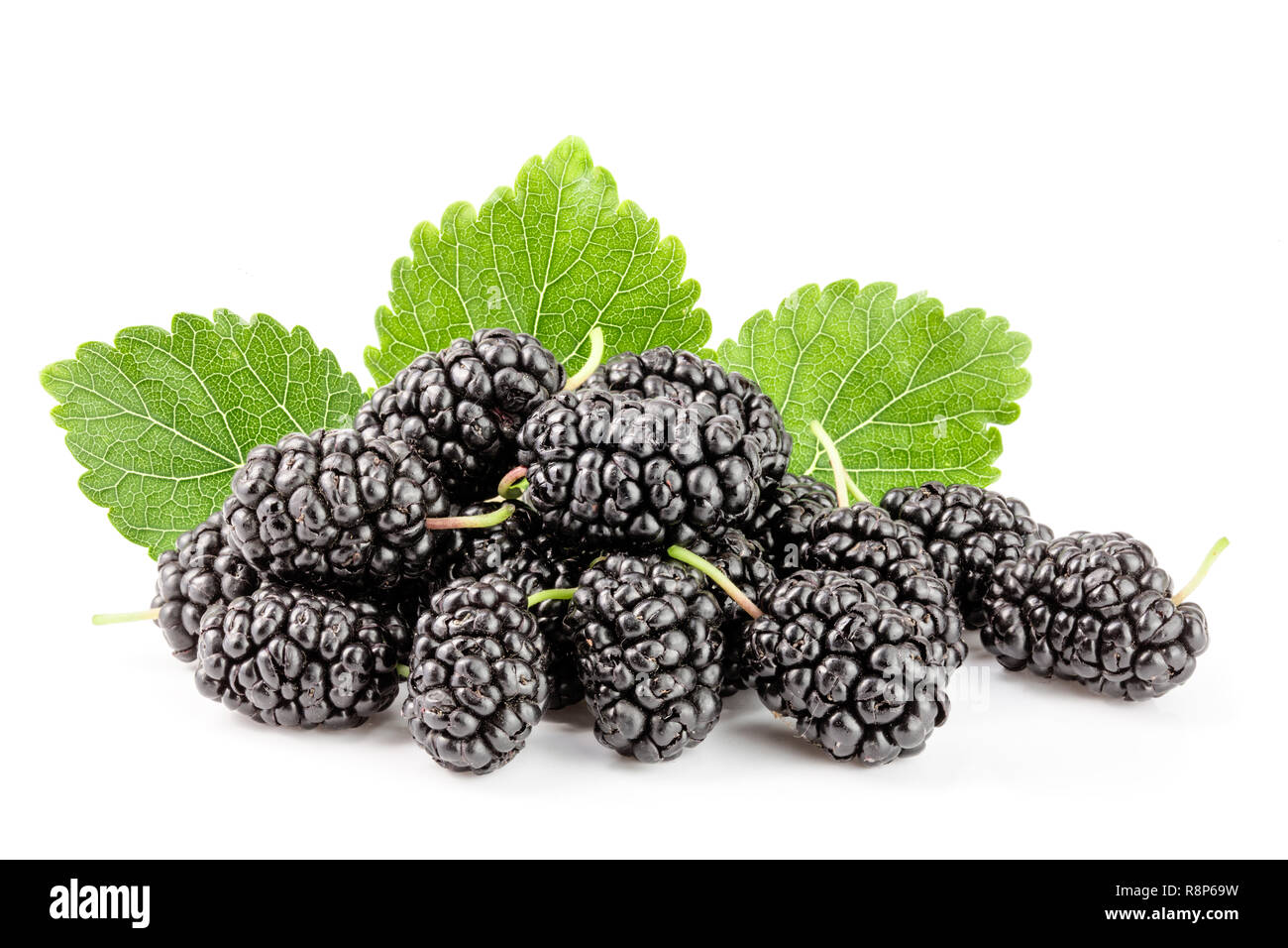 Mulberry berry with leaf isolated on white background Stock Photo - Alamy