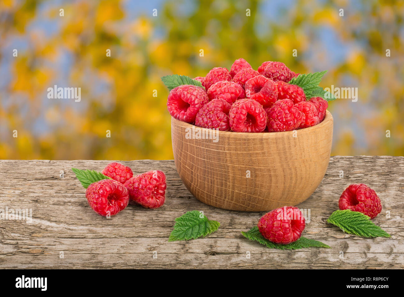 Raspberry in a wooden bowl on table with a blurry garden background ...