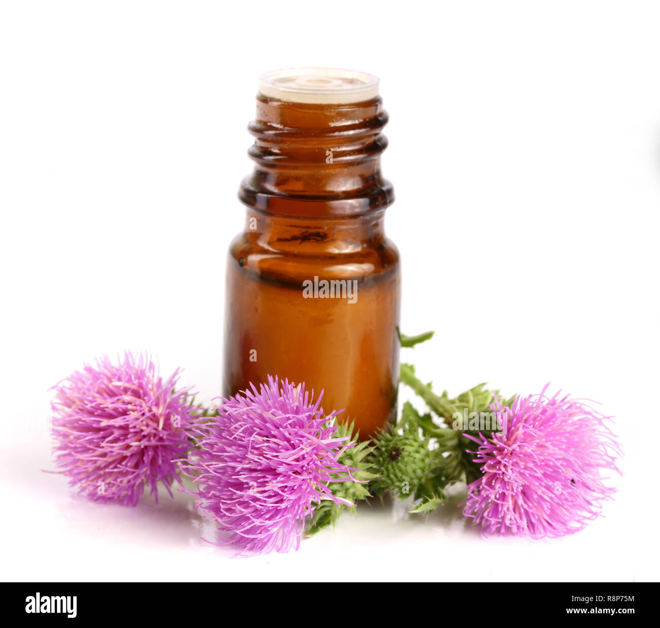 thistle oil and milk thistle flower isolated on white background Stock ...