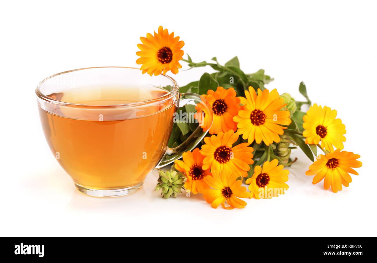 Calendula tea with fresh flowers isolated on white background Stock ...