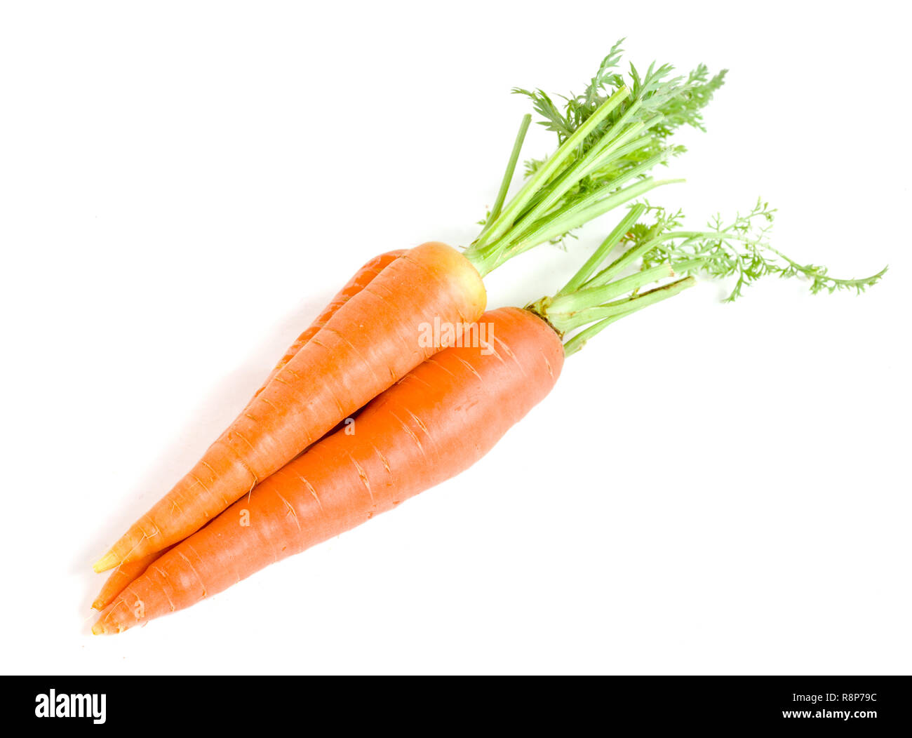 Carrot Vegetable
