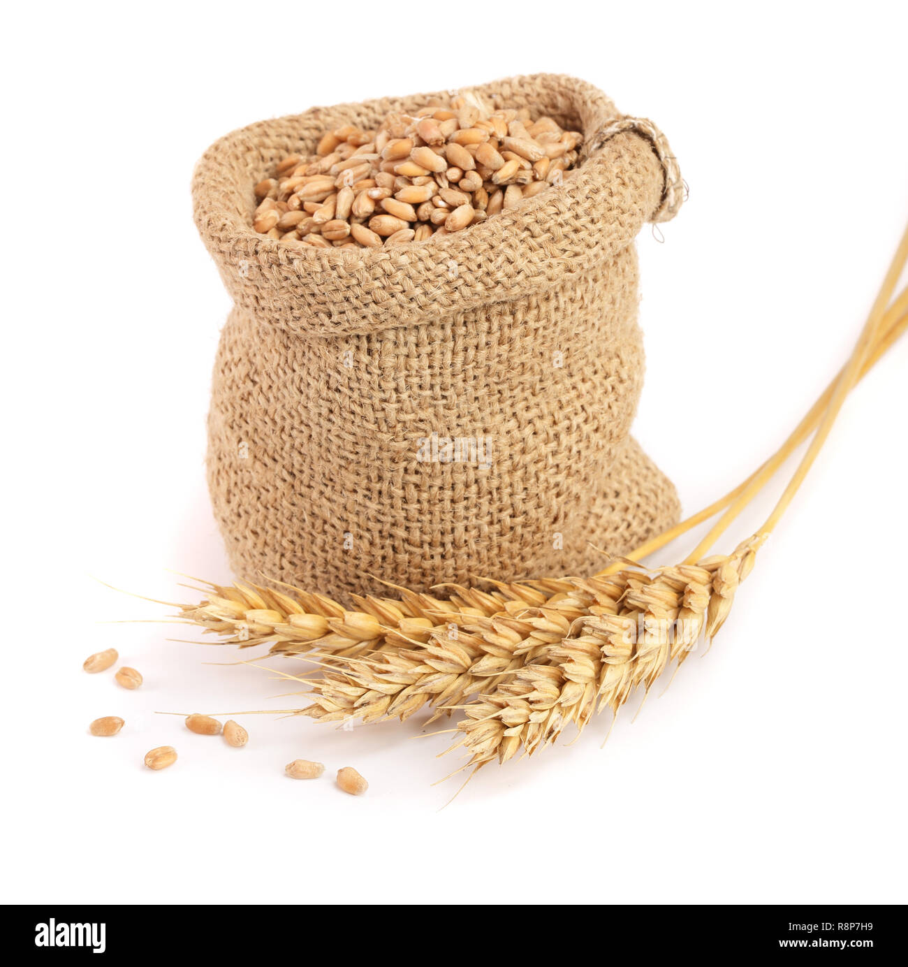 Wheat Grain Bag
