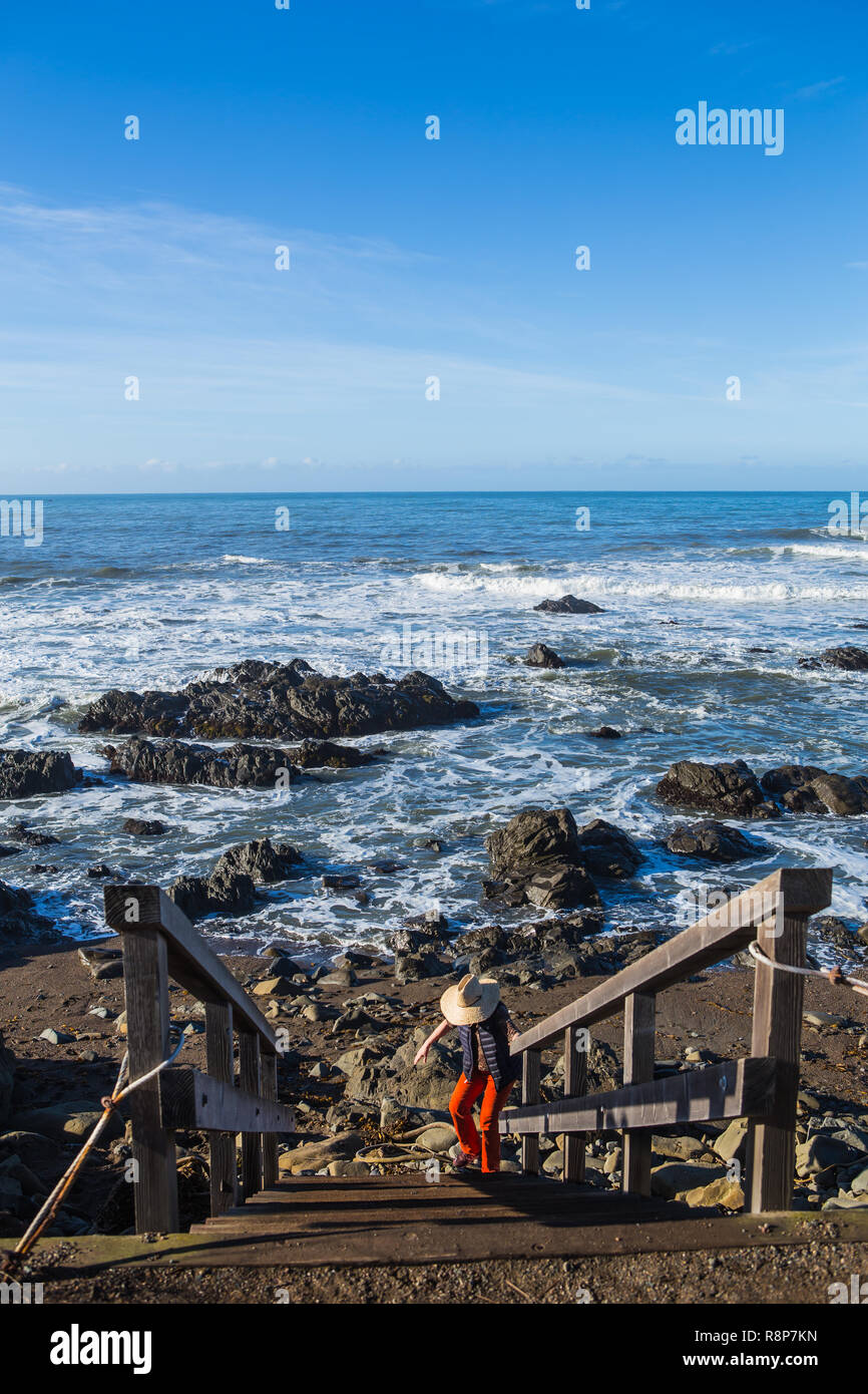 Moonstone Beach Coastline High Resolution Stock Photography and Images ...
