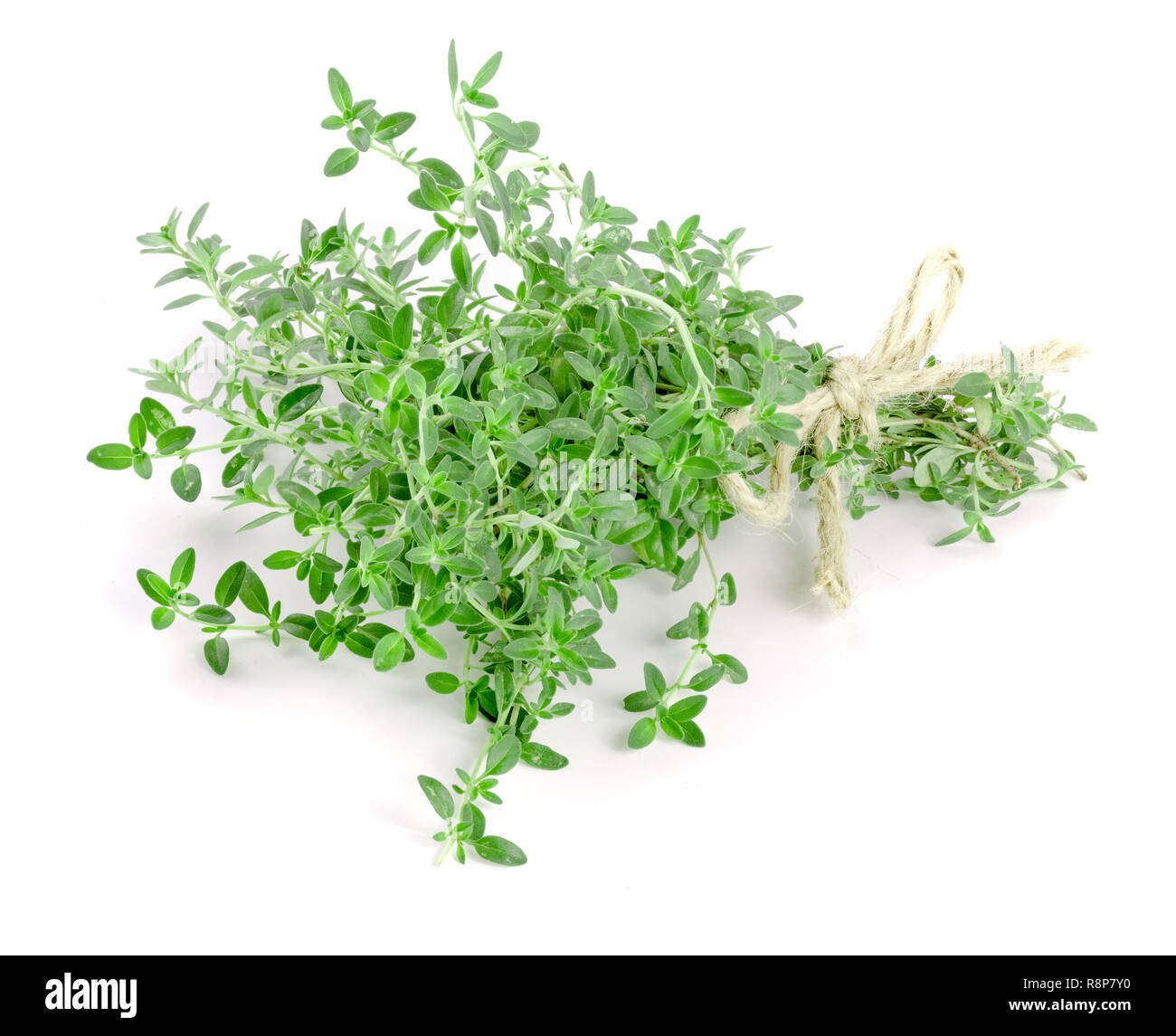 Bundle of fresh thyme spice isolated on white background Stock Photo ...