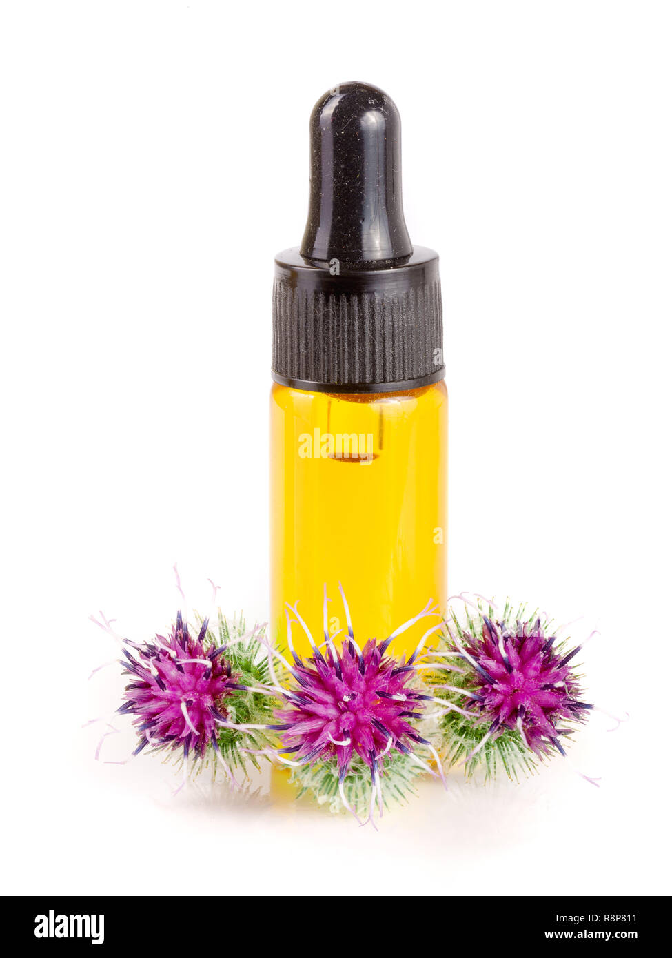 burdock oil in glass bottle and burdock flowers isolated on white ...