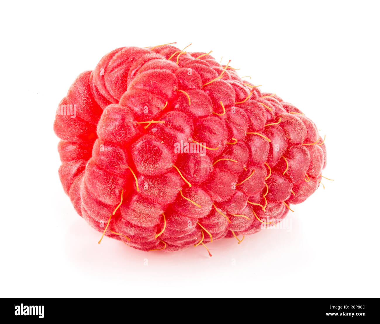 One raspberry isolated on hi-res stock photography and images - Alamy