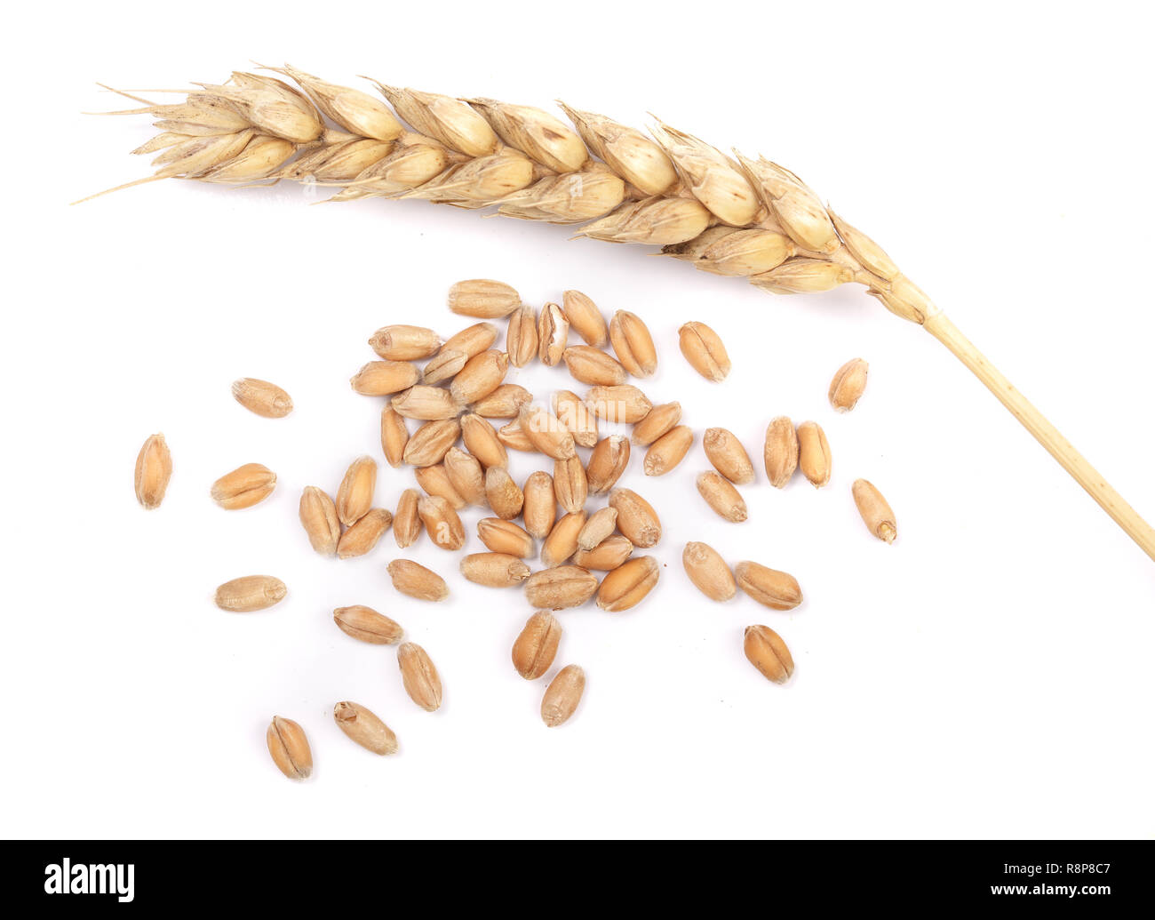 grain and ears of wheat isolated on white background. Top view Stock ...