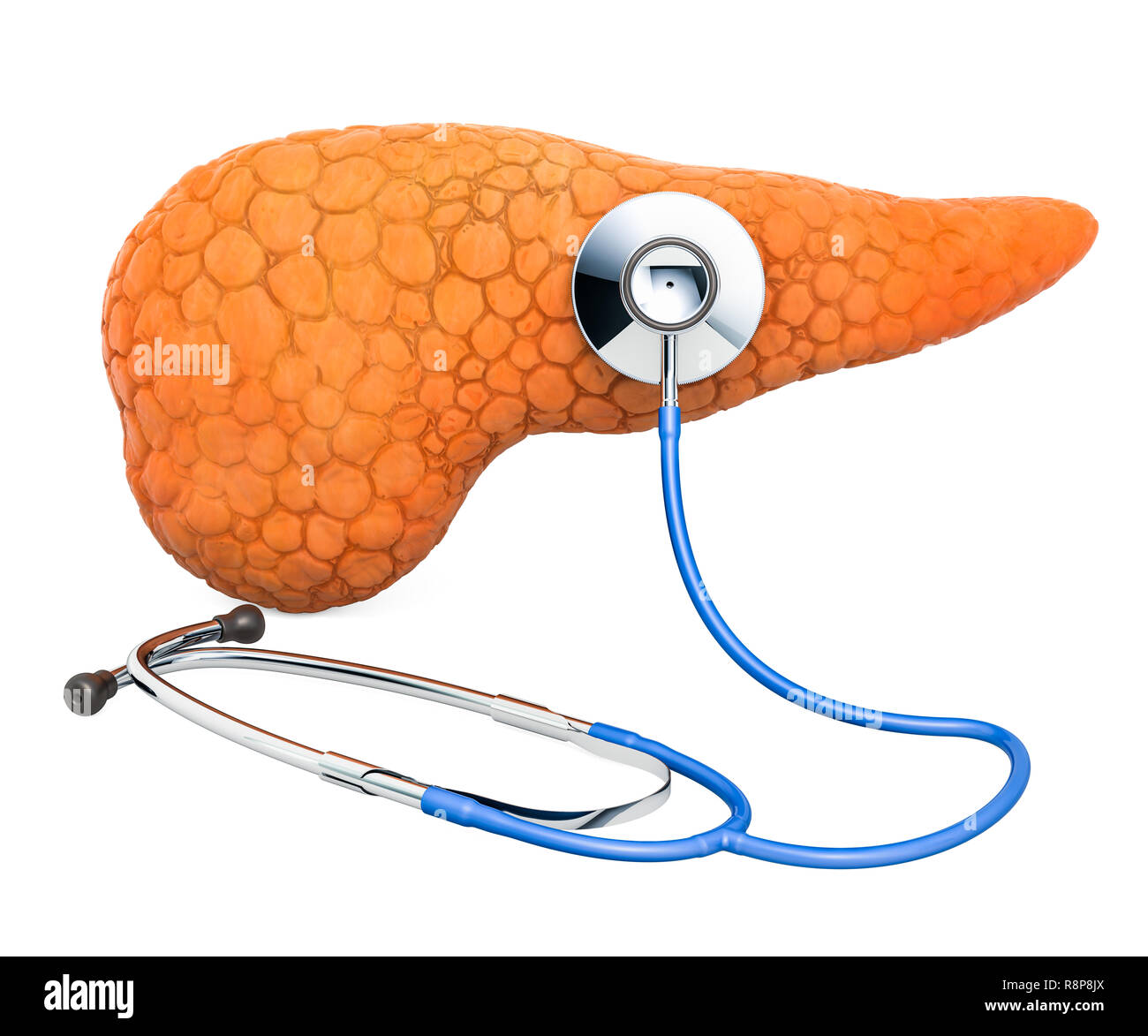 Human pancreas hi-res stock photography and images - Alamy