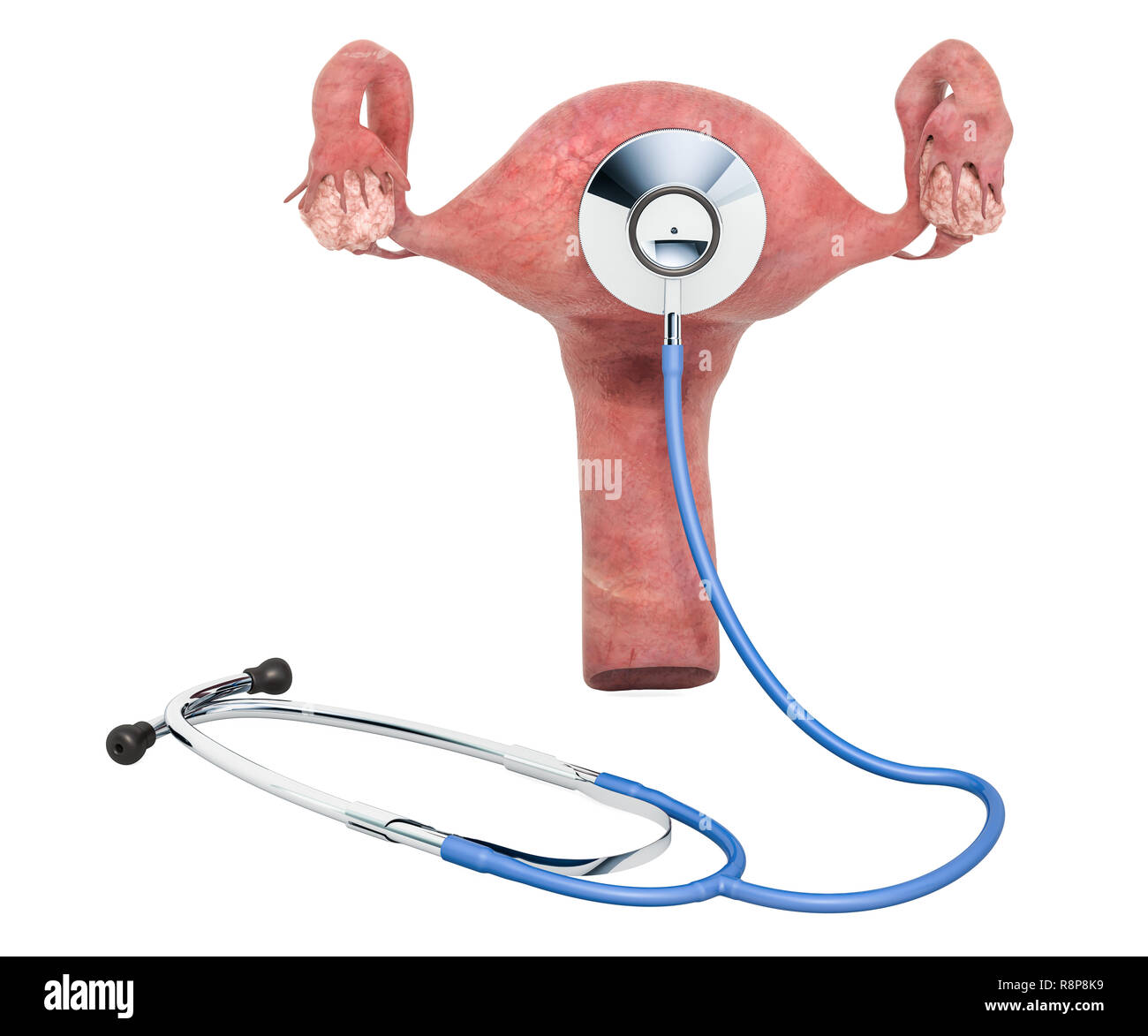 Uterus with stethoscope. Research and diagnosis of uterus concept, 3D ...