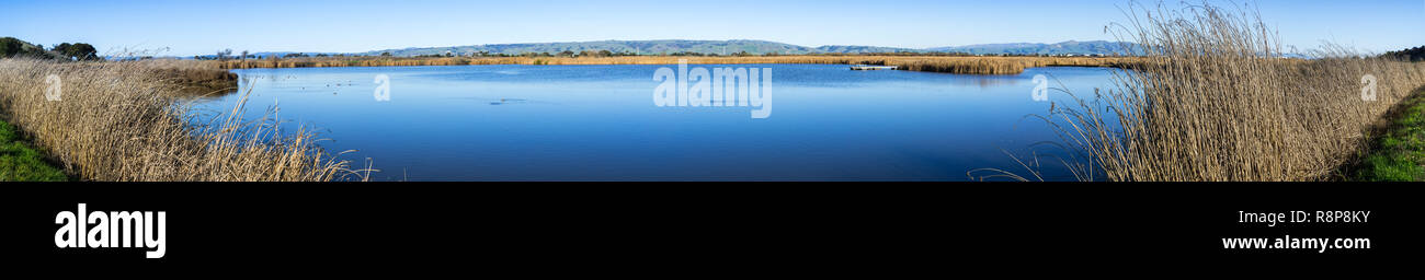 Coyote hills hi-res stock photography and images - Alamy