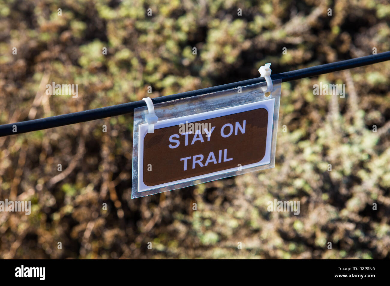 Stay on trail sign Stock Photo - Alamy