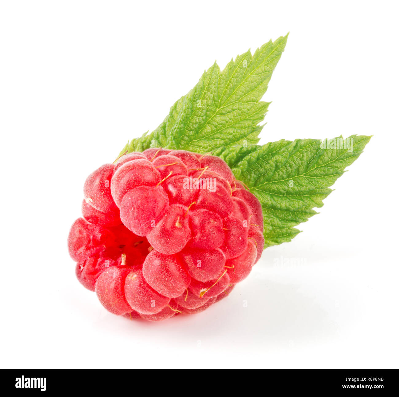 One raspberry with leaf isolated on white background macro Stock Photo ...