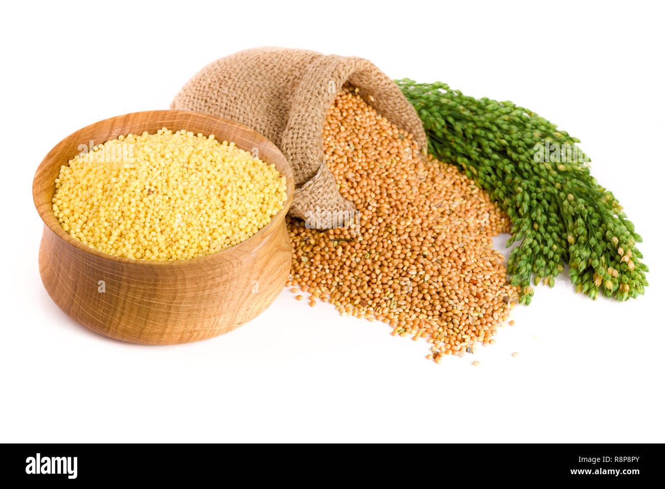 Millet in a wooden bowl, burlap bag and green spikelets isolated on ...