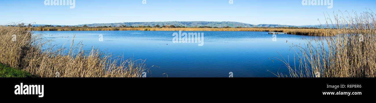 Coyote Hills High Resolution Stock Photography and Images - Alamy