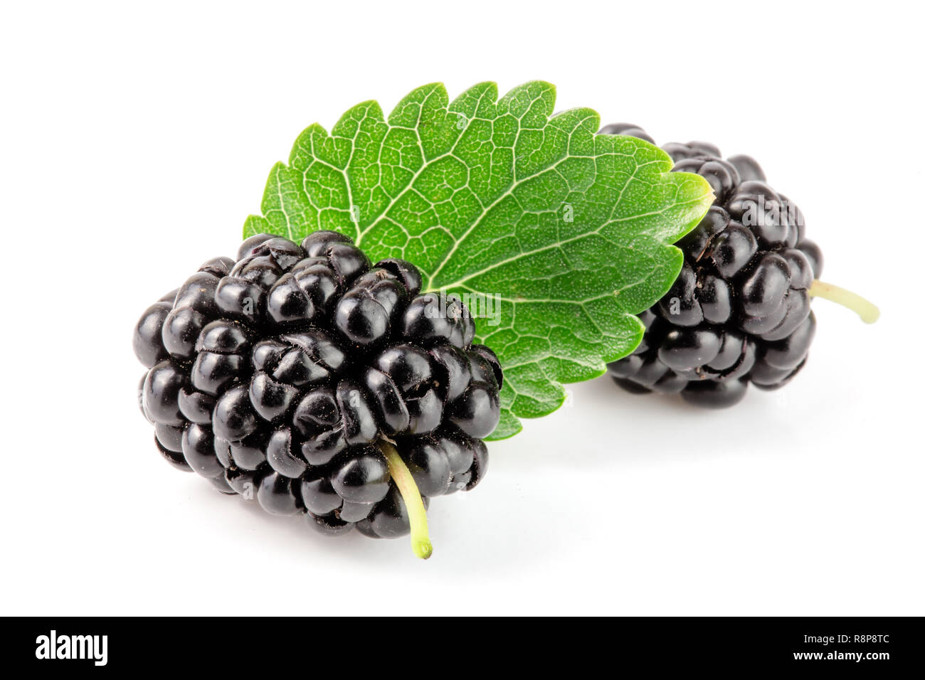 Mulberry bramble hi-res stock photography and images - Alamy