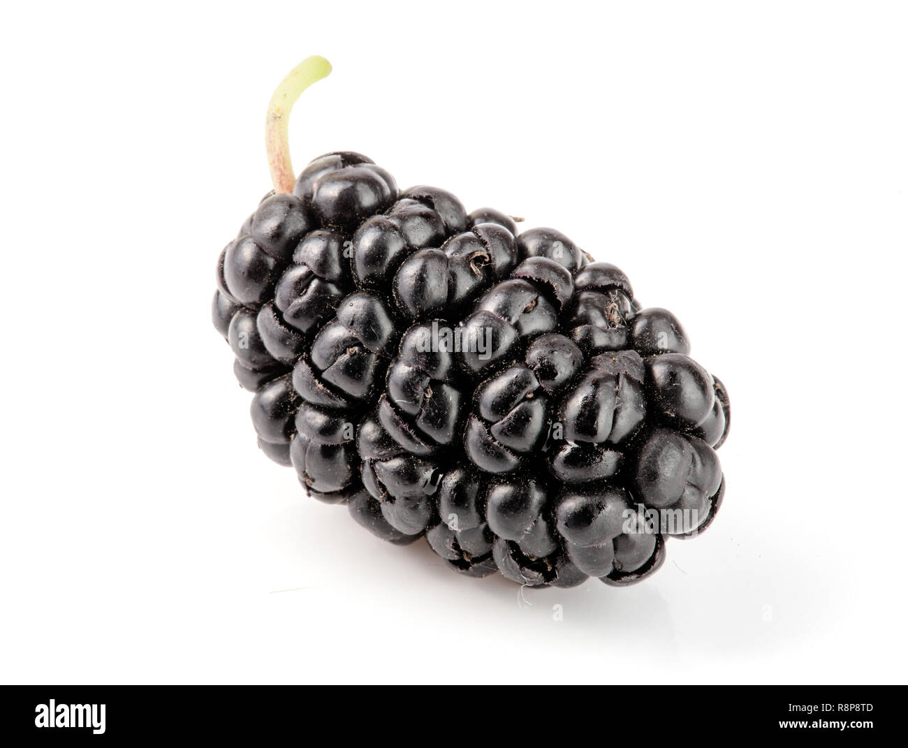 Single mulberry hi-res stock photography and images - Alamy