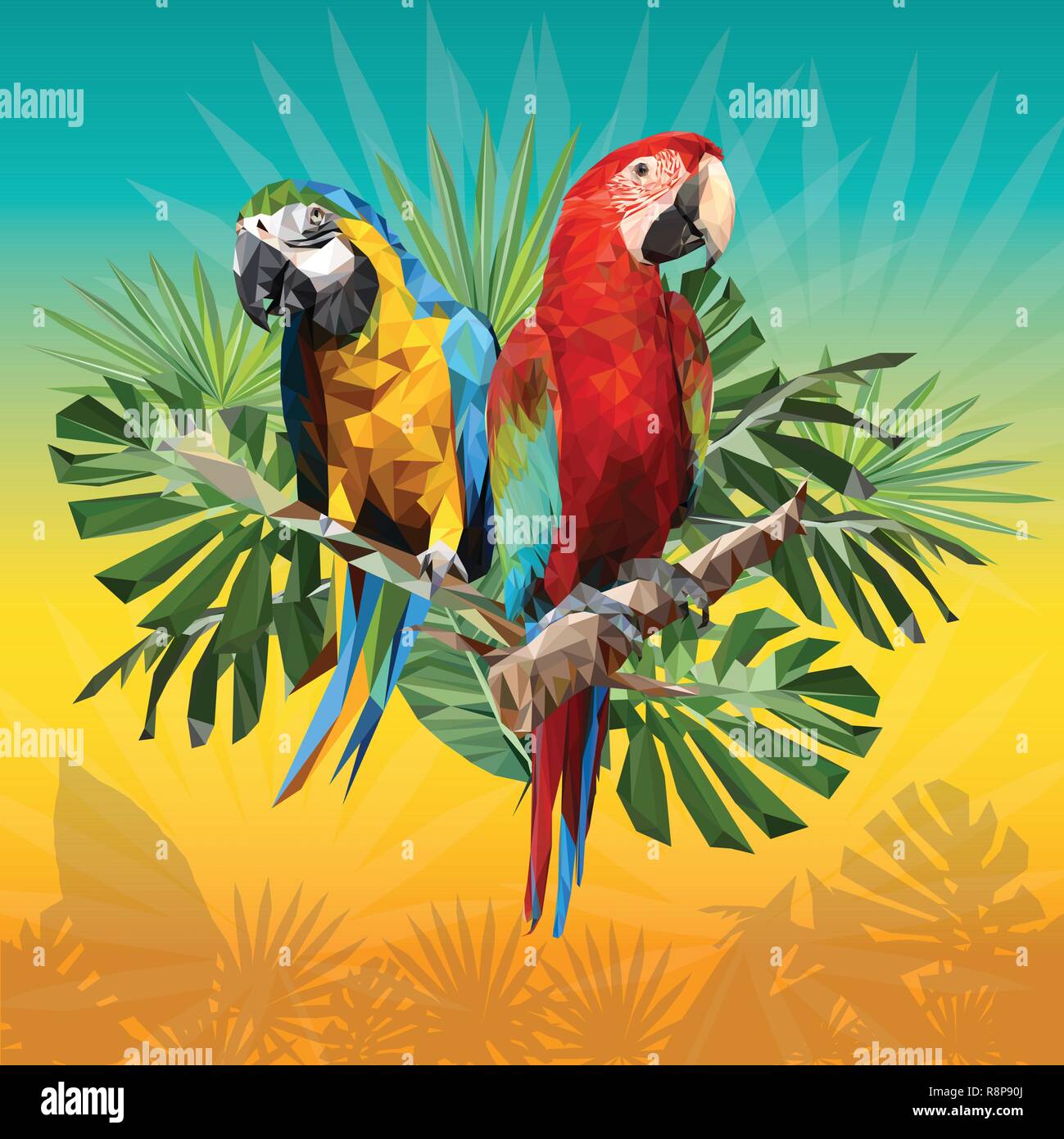 Blue And Gold Macaw Drawing