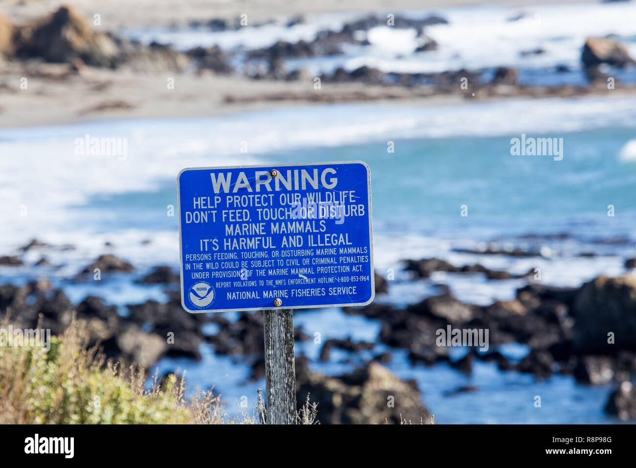 Warning don't feed touch or disturb marine mammals sign the Piedras ...