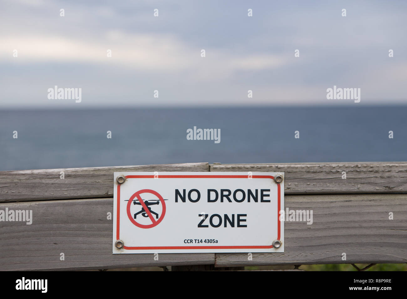 No drone flying sign at Piedras Blancas Elephant seal sanctuary in San ...