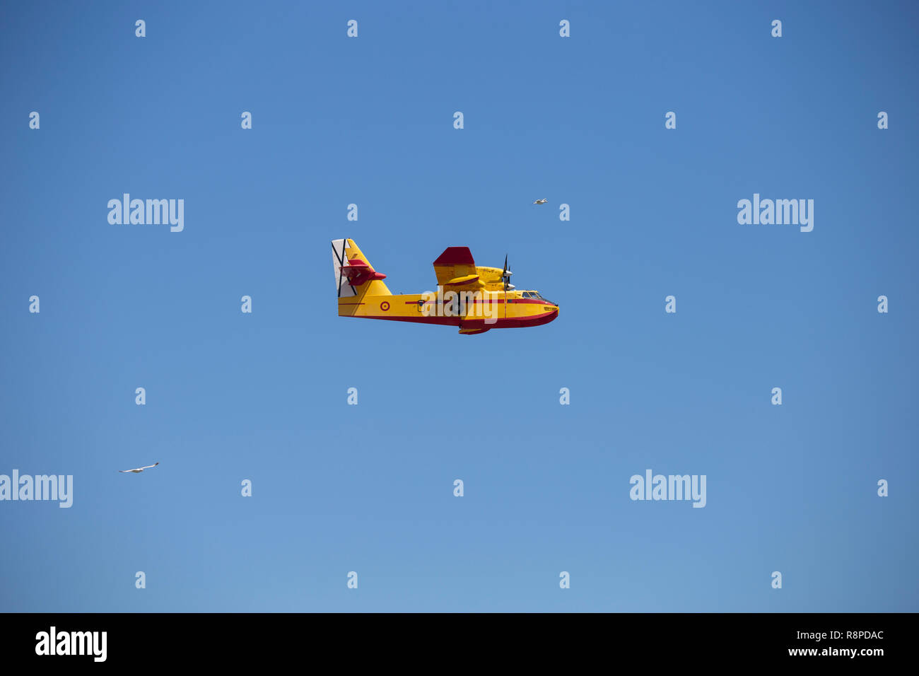 Firefighting light airplane in aerial exhibition Stock Photo - Alamy