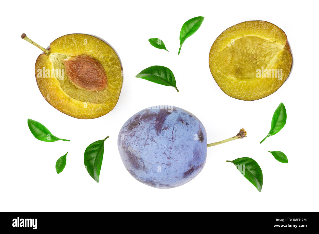 Prune leaf hi-res stock photography and images - Alamy