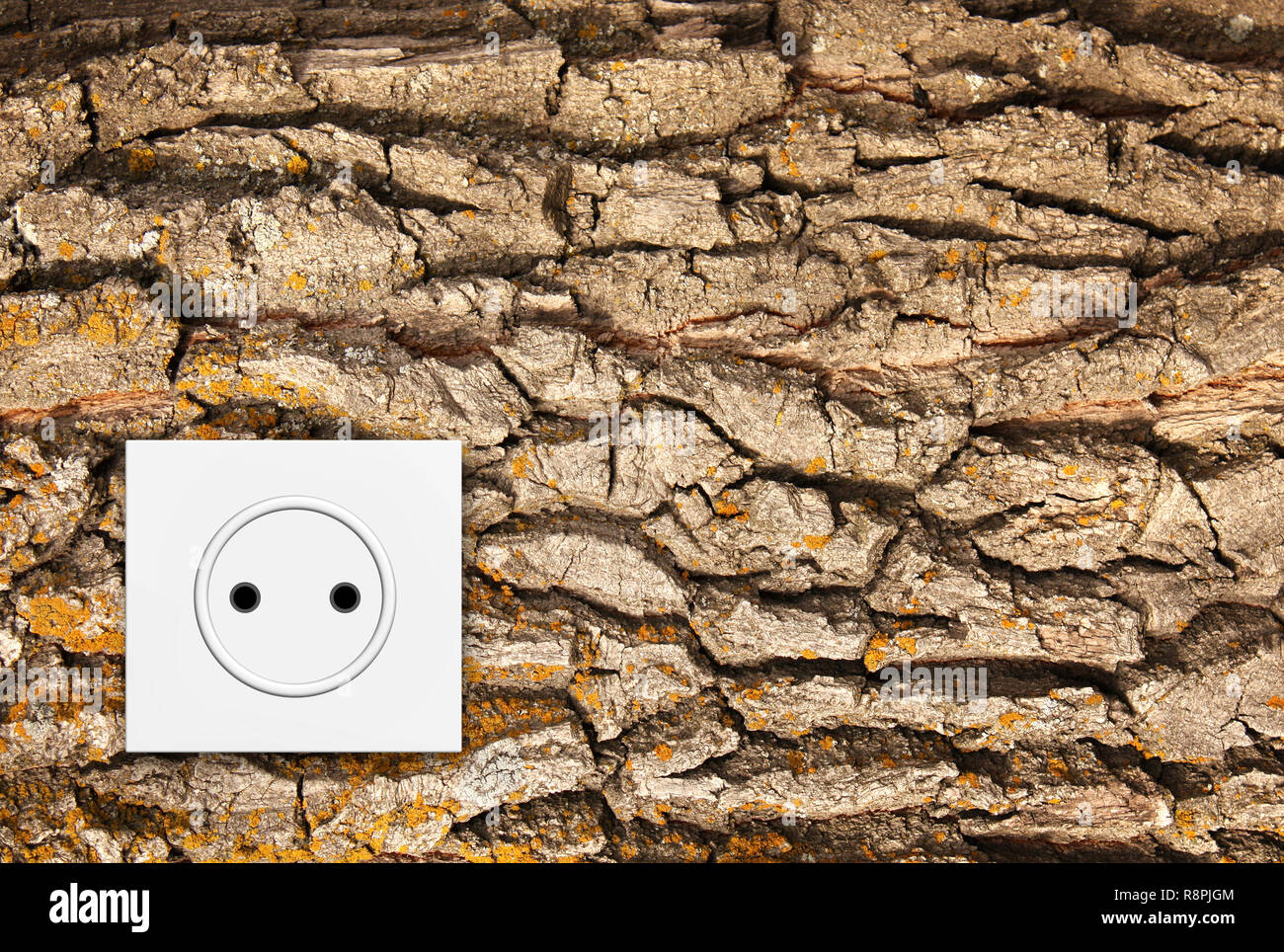 Go green - electric socket in oak bark Stock Photo - Alamy