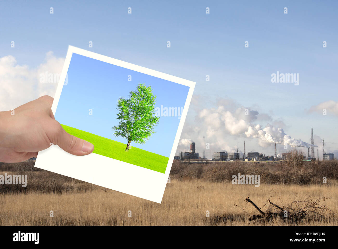 Ecology concept - death and life Stock Photo - Alamy