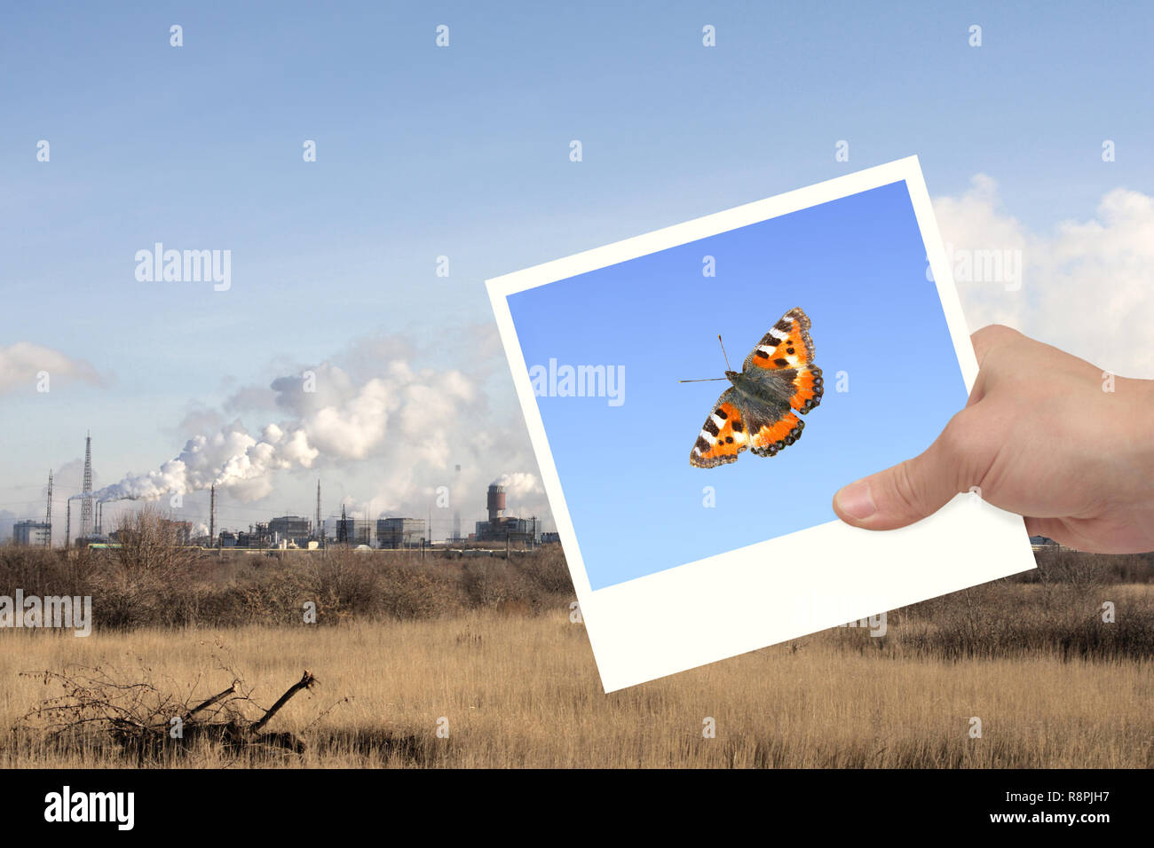 Ecology concept - death and life Stock Photo - Alamy