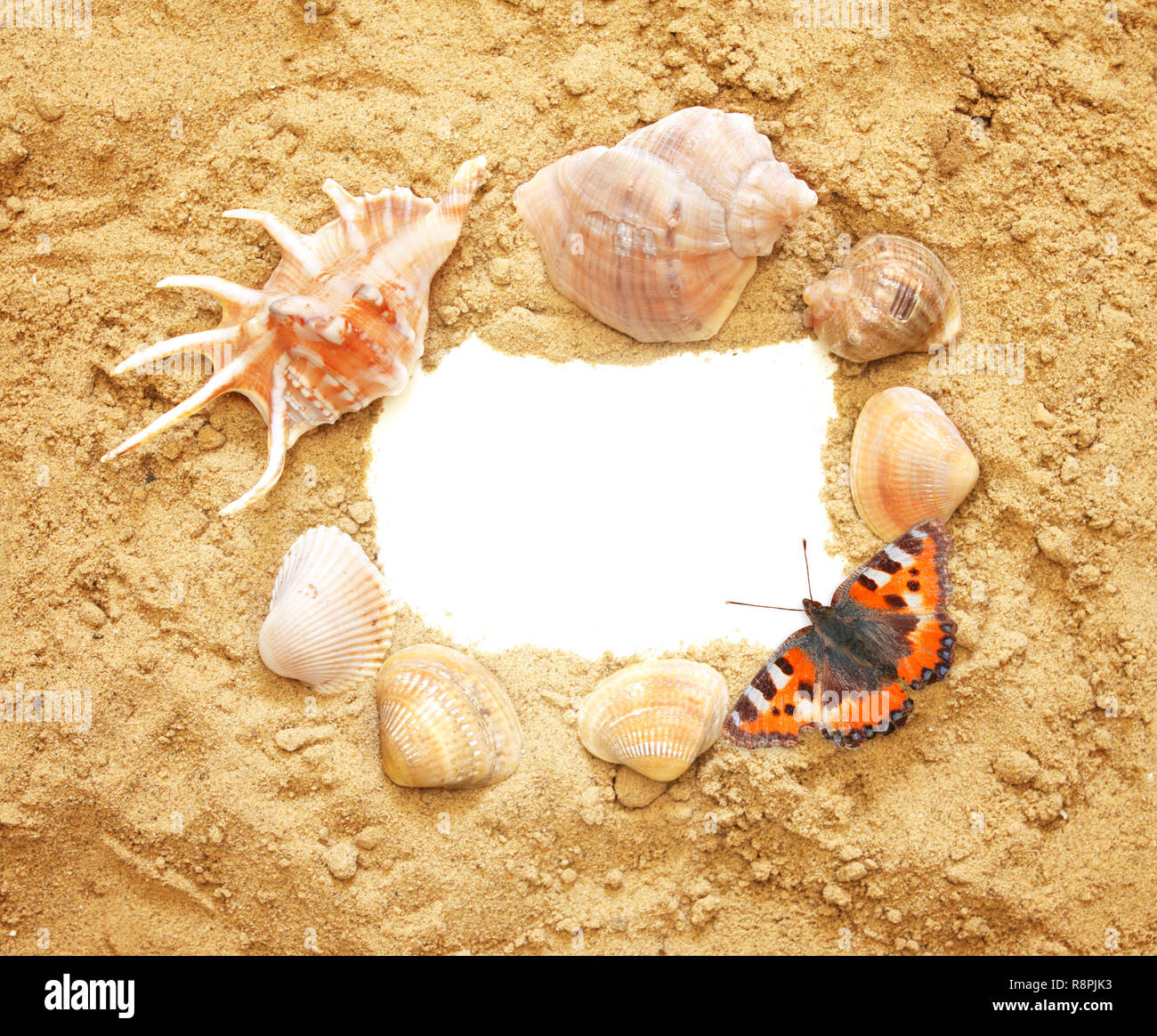 Vacations background - shells and butterfly on sand Stock Photo - Alamy