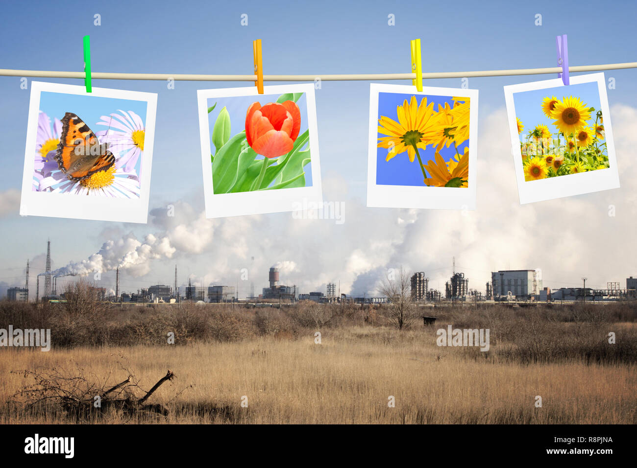 Ecology concept - death and life Stock Photo - Alamy