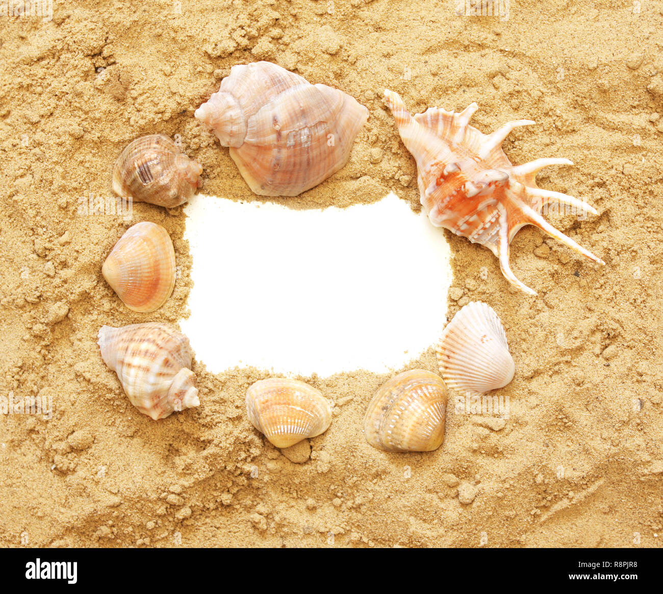 Vacations background - shells on sand Stock Photo - Alamy