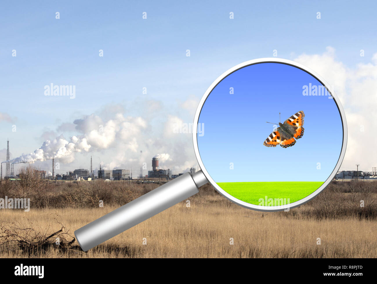 Ecology concept - death and life Stock Photo - Alamy