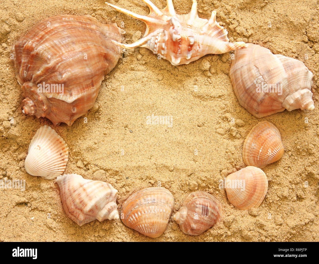 Vacations background - shells on sand Stock Photo - Alamy