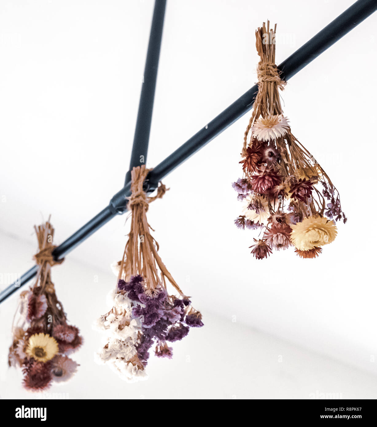 Dried floral decorations hi-res stock photography and images - Alamy