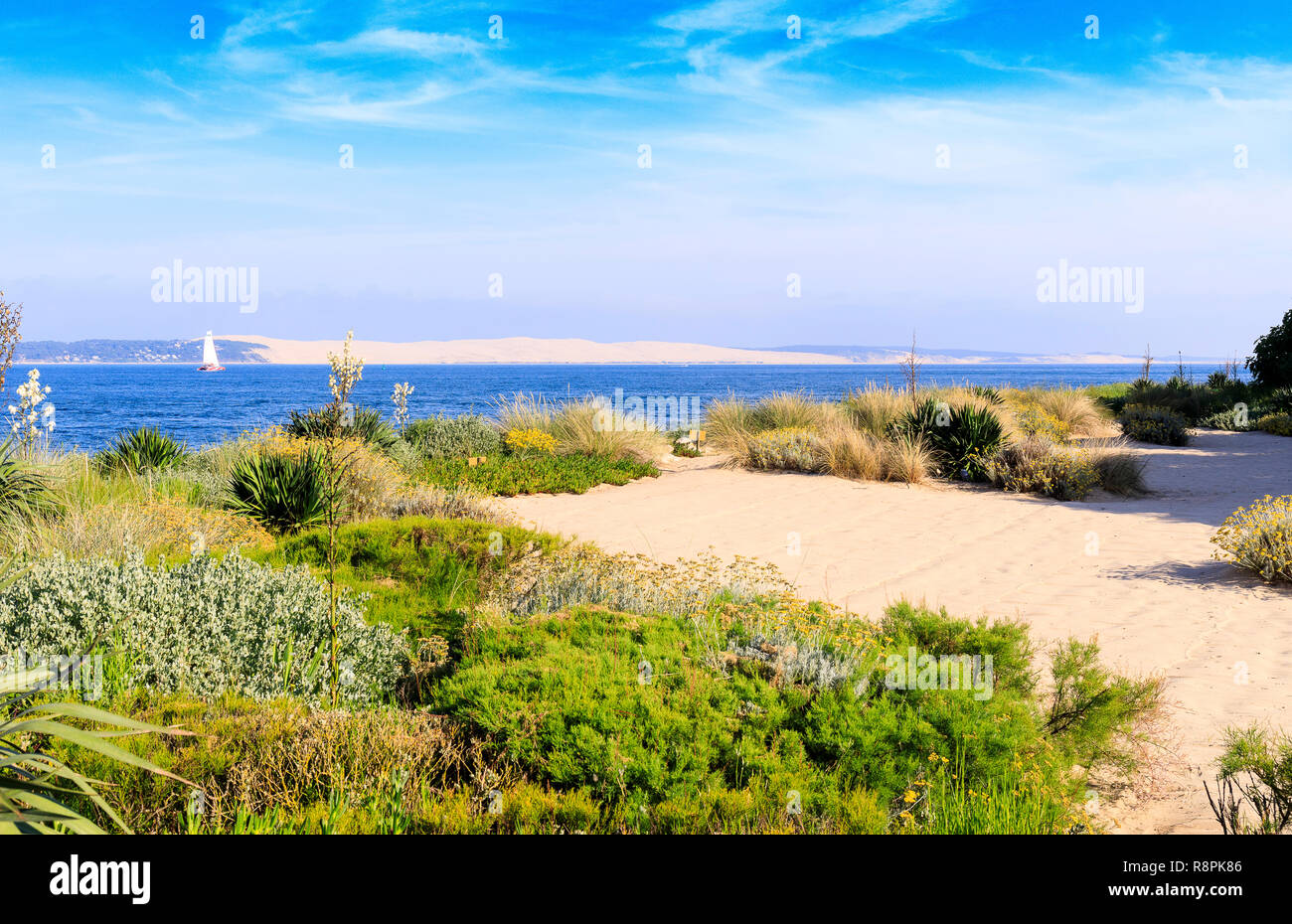 Cap ferret hi-res stock photography and images - Alamy