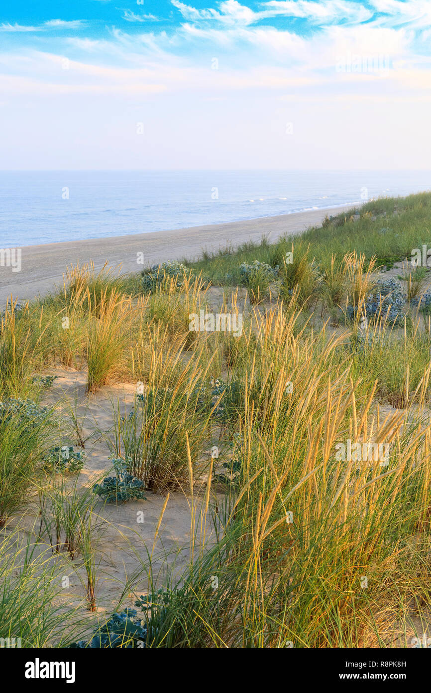 Truc vert hi-res stock photography and images - Alamy