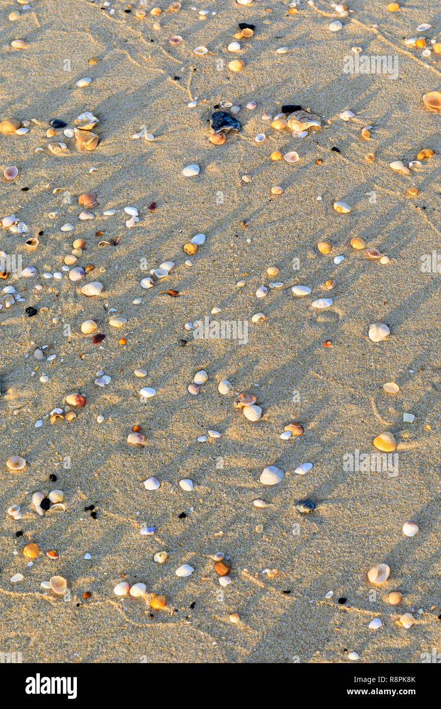 Truc vert hi-res stock photography and images - Alamy
