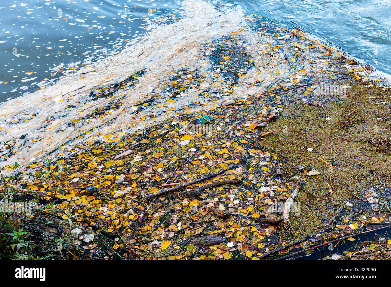 background of bottle and rubbish floating on water in riveside. River ...