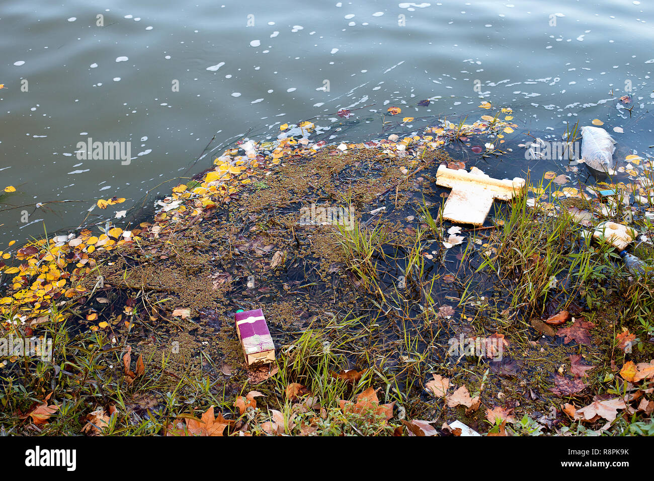 plastic and ribbish floating on water.River pollution Stock Photo - Alamy