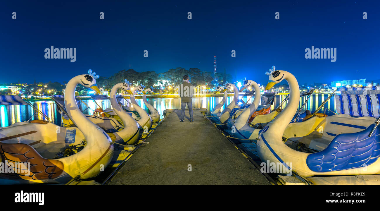 Swan paddle boats in a lake at night. These are the boats for couples ...