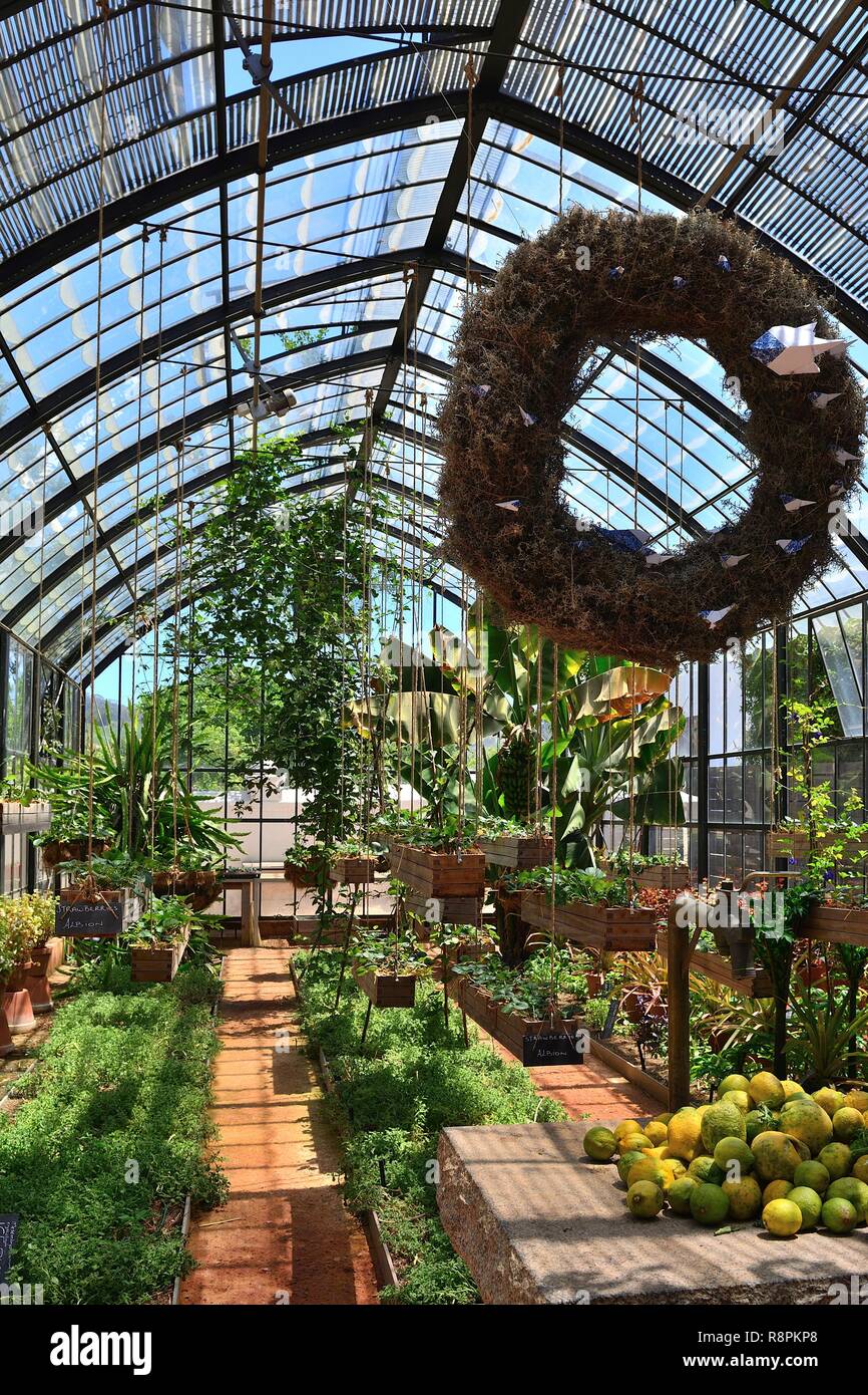 South Africa, Western Cape, Paarl, botanical garden of Babylonstoren ...